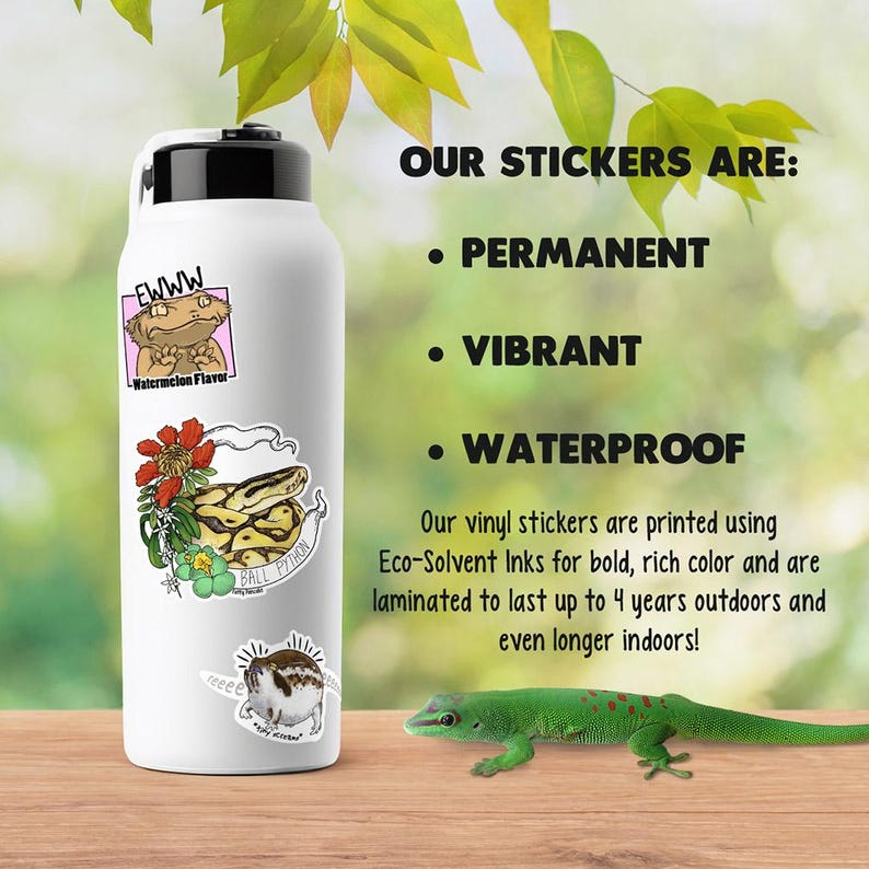 Hognose Snake Vinyl Sticker, Gift for Reptile Lovers and Owners ...