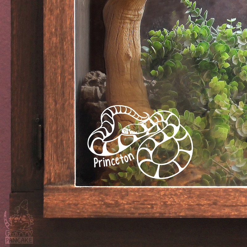 Reptile Enclosure - Etsy