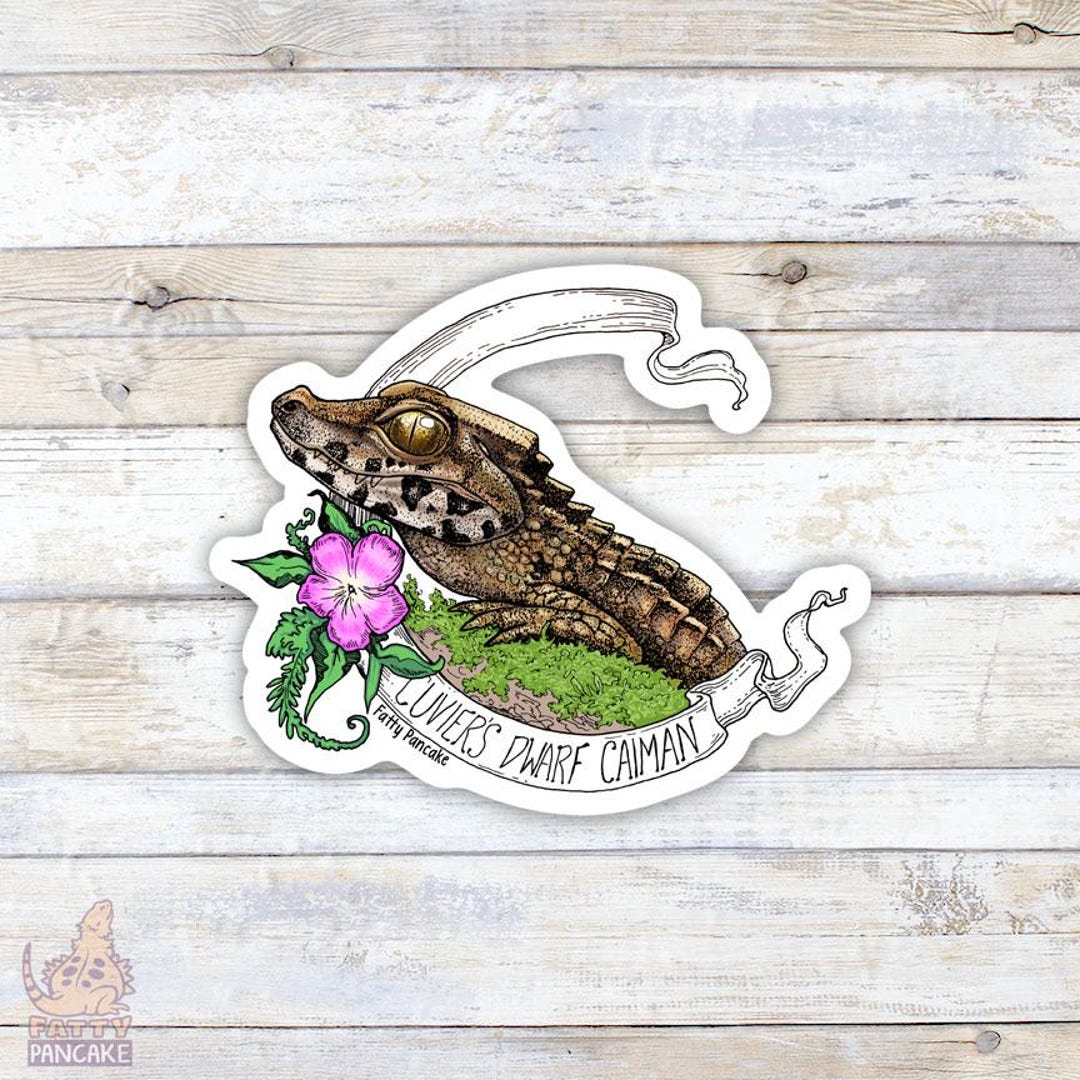 Cuvier's Dwarf Caiman Vinyl Sticker, Cute Lizard Gift for Reptile ...