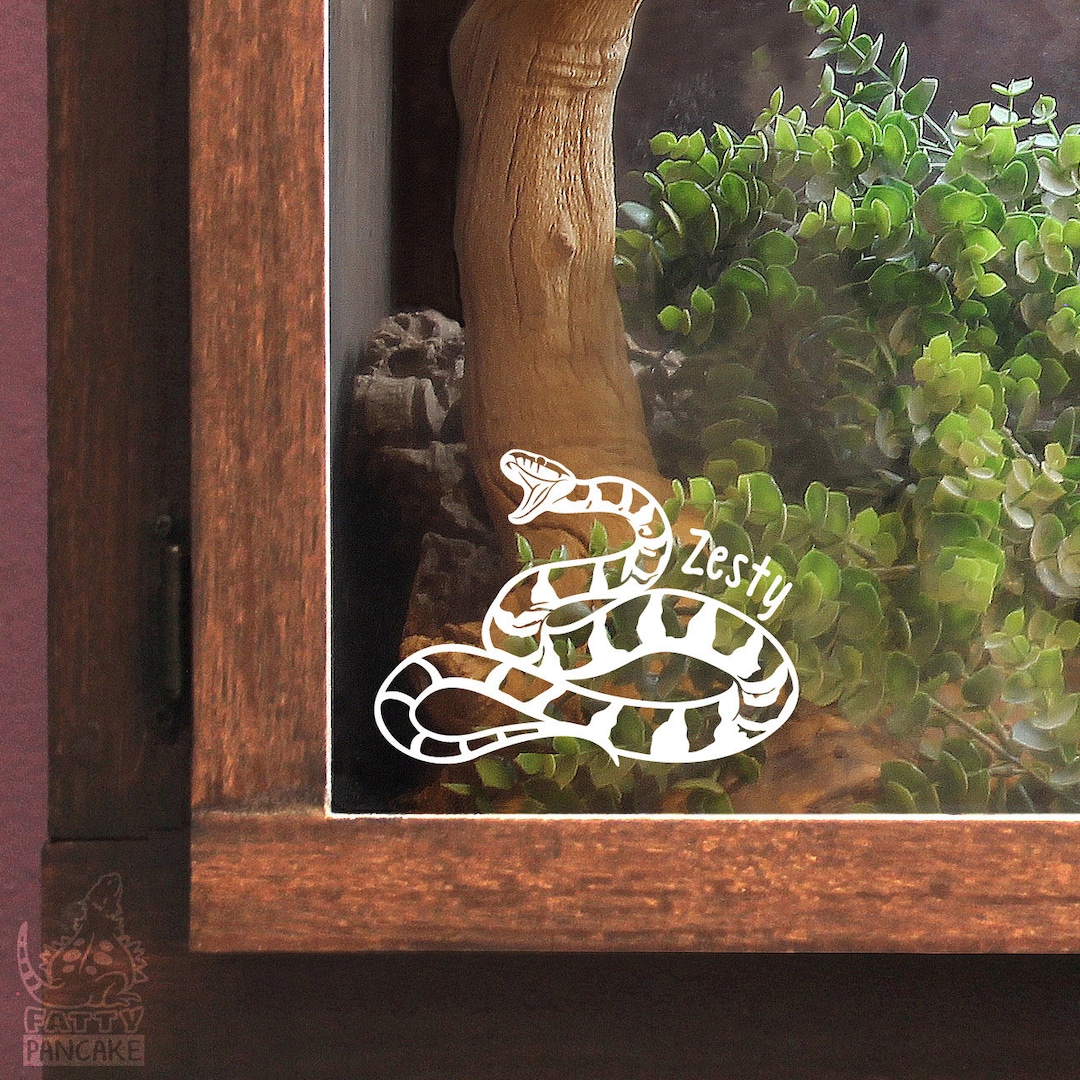Mangrove Snake Customizable Decal, Gift for Reptile Owners and Lovers ...