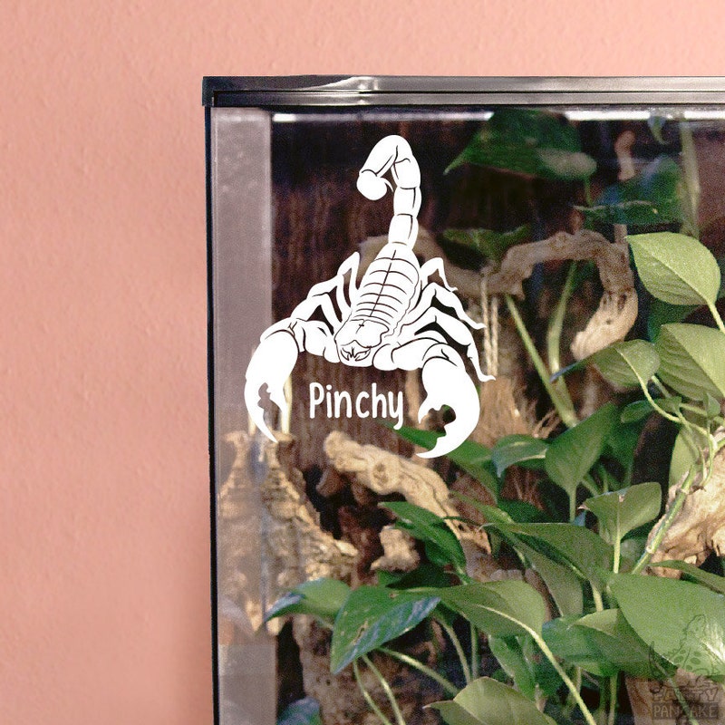 Scorpion Car Decal - Etsy