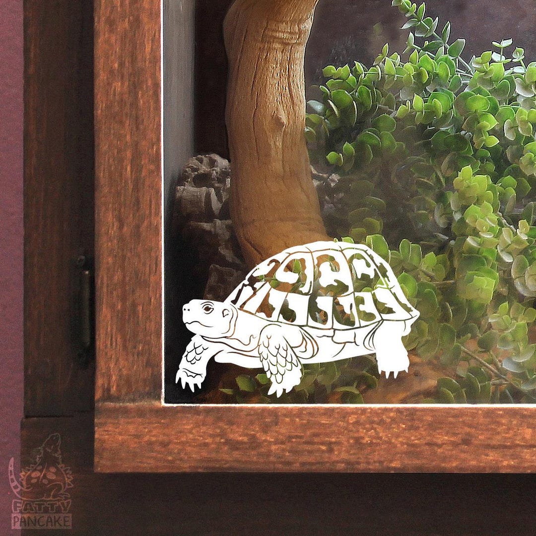 Greek Tortoise Customizable Decal, Gift for Reptile Turtle Owners and ...