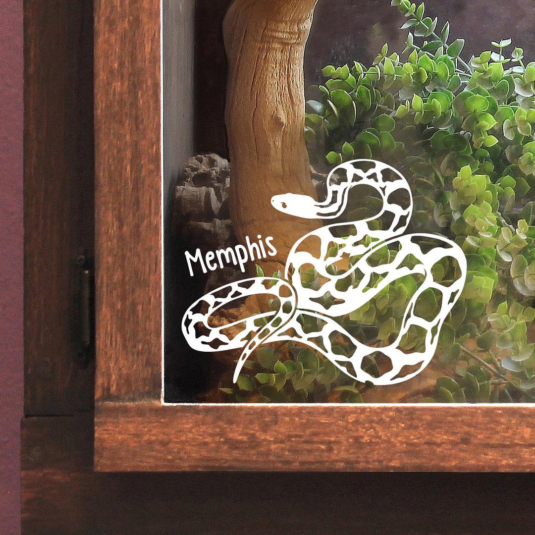 Texas Rat Snake Vinyl Decal Customizable, Cute Reptile Gift for Snake ...