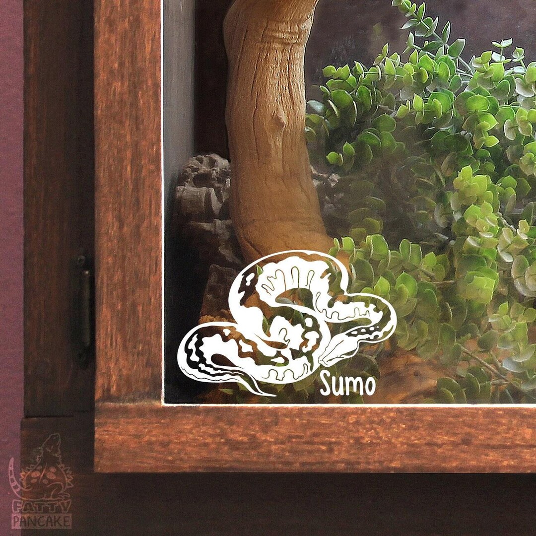 Blood Python Customizable Decal, Short Tailed Python Sticker, Gift for ...