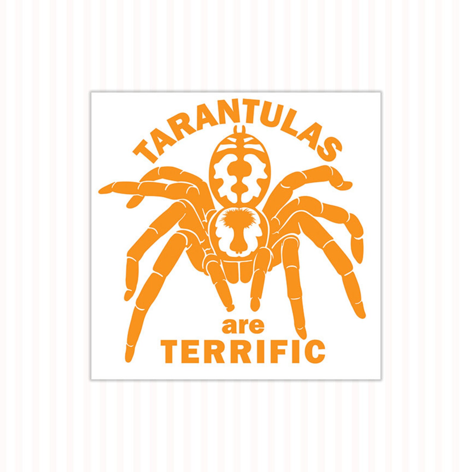 Tarantula Car Decal Spider Sticker Pumpkin Patch | Etsy