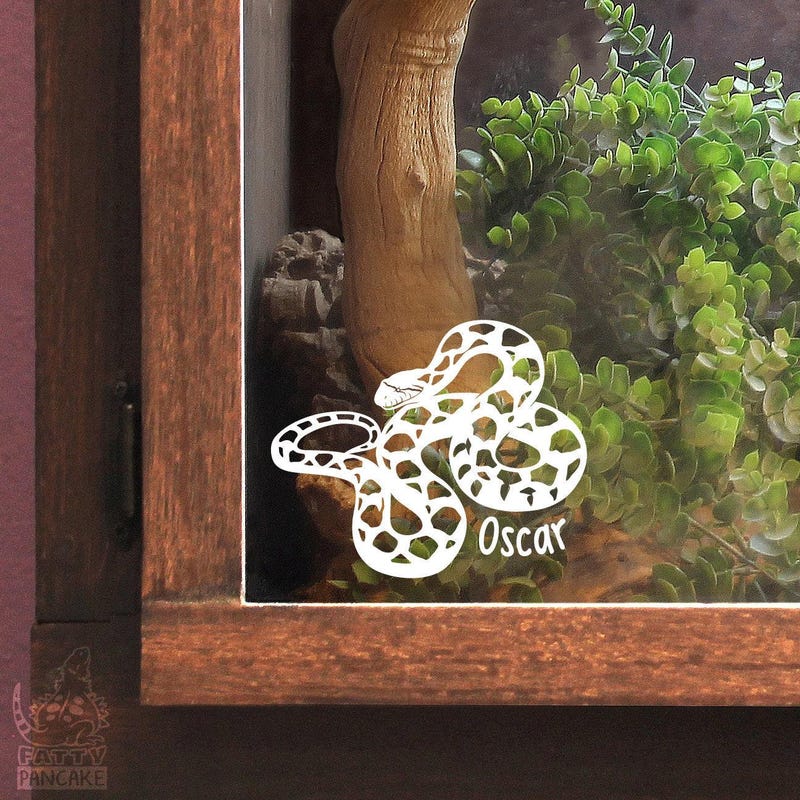 Bull Snake Skins - Etsy