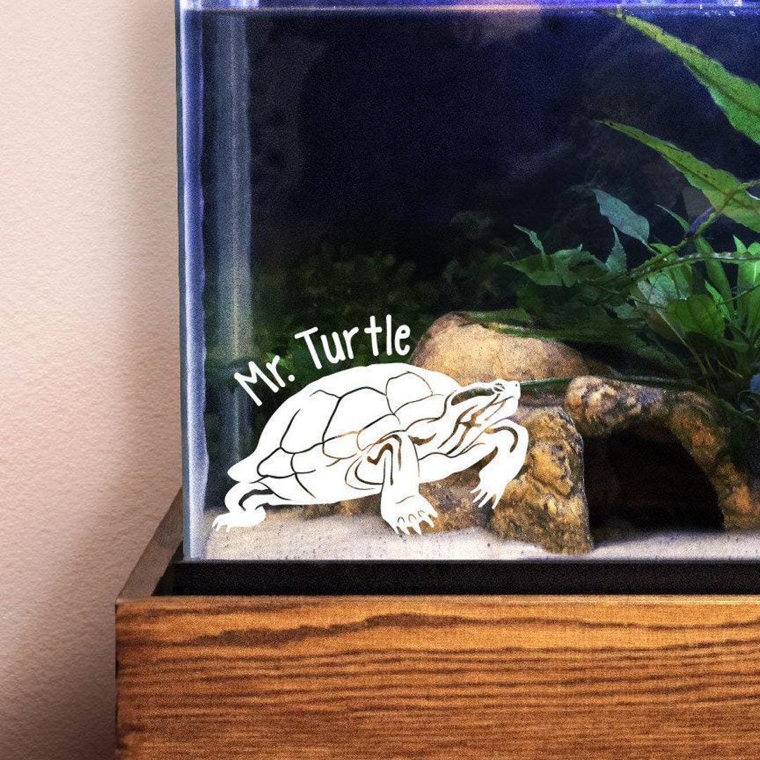 Red Eared Slider Customizable Decal, Cute Turtle Sticker Gift for ...