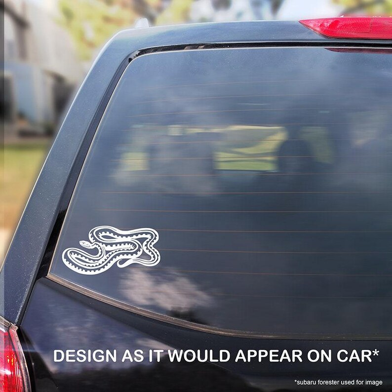Garter Snake Personalized Vinyl Decal, Cute Reptile Gift Enclosure Tag ...