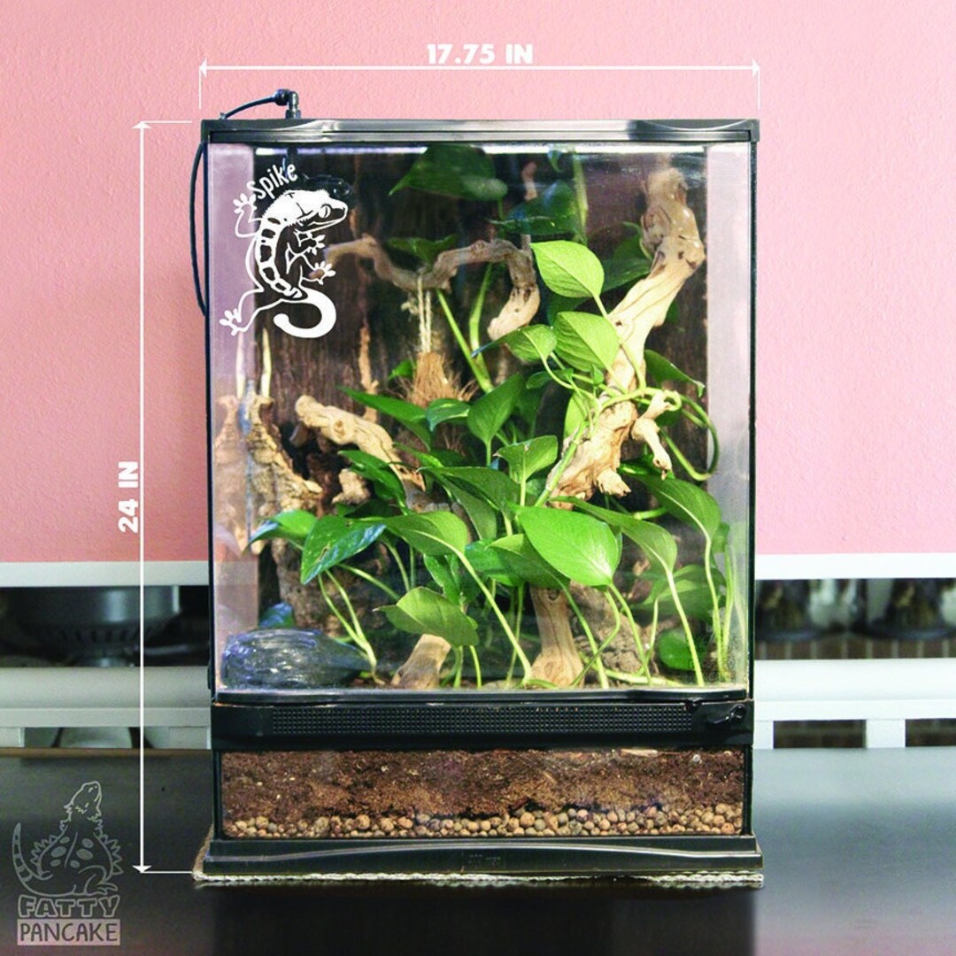 Crested Gecko Decal Customizable Enclosure Decor, Gecko Decal, Reptile ...