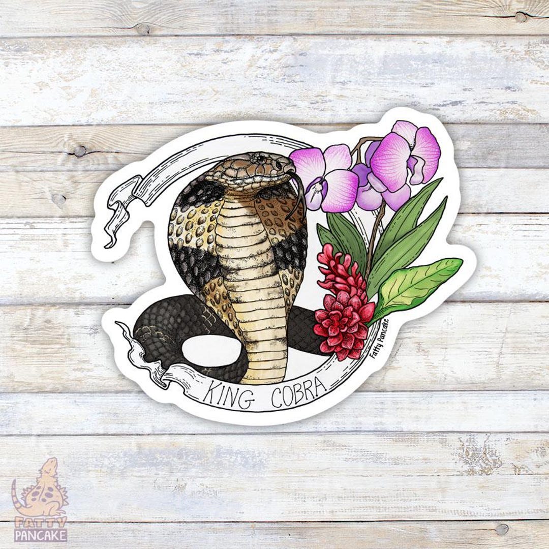 King Cobra Vinyl Sticker, Beautiful Venomous Snake Gift for Reptile ...