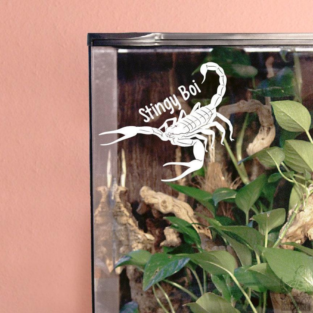 Deathstalker Scorpion Customizable Vinyl Car Decal, Gift for Arachnid ...