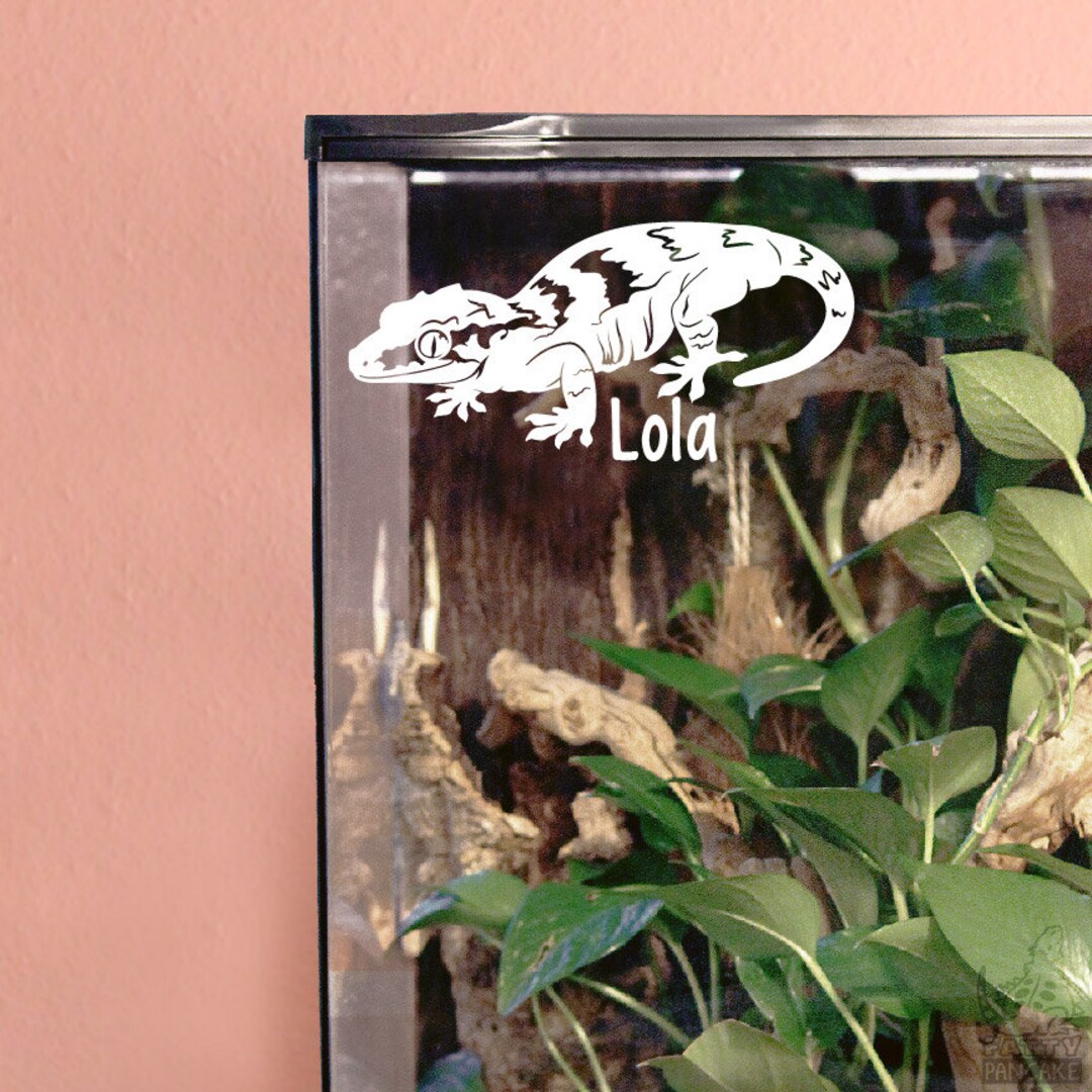 Reticulated Gargoyle Gecko Customizable Vinyl Decal, Cute Lizard ...