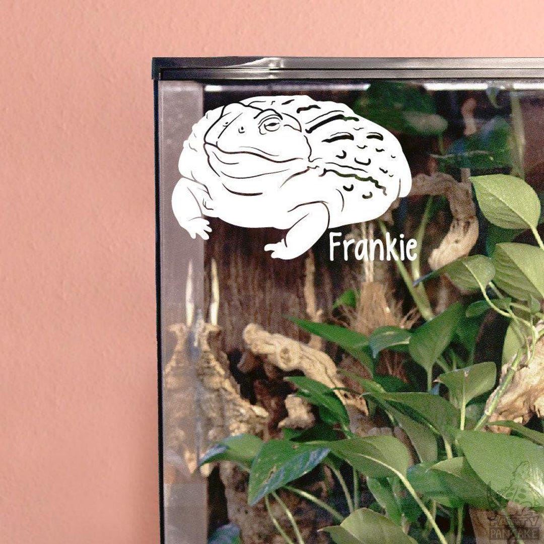 Pixie Frog Customizable Vinyl Decal, African Bullfrog Gift for ...