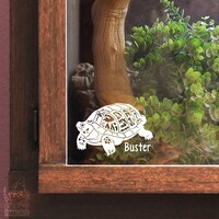 Box Turtle - Etsy