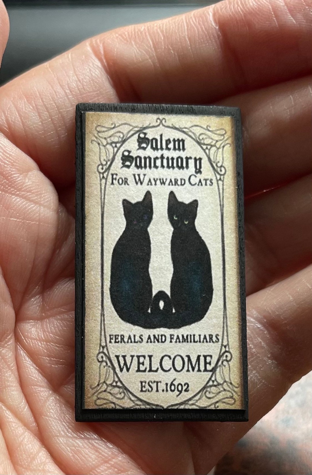 Salem Sanctuary for Wayward Cats Sign - This is Not Life Size. - Etsy