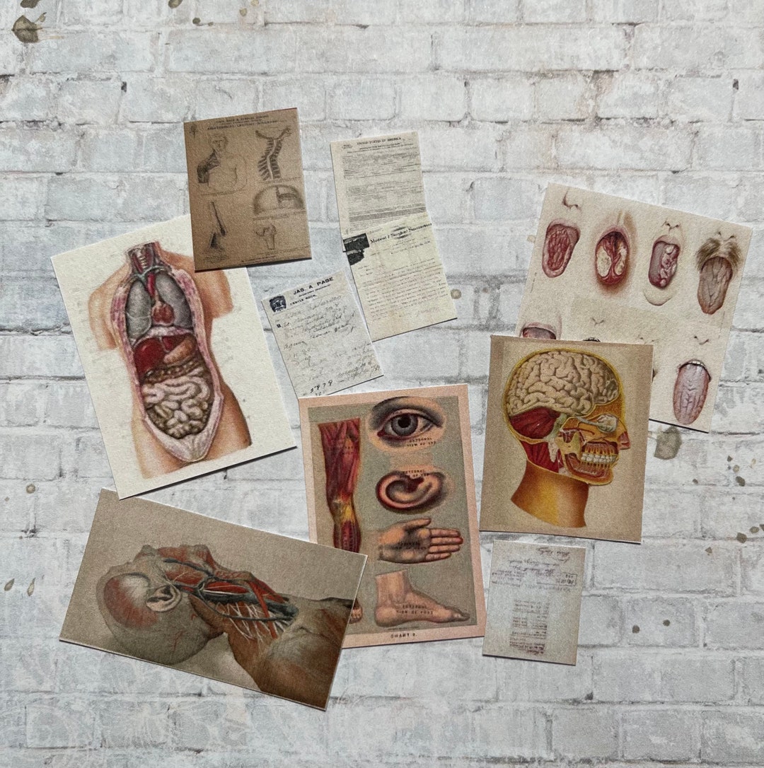 10 Pcs Medical Wall & Desk Clutter This is Not Life Size. - Etsy