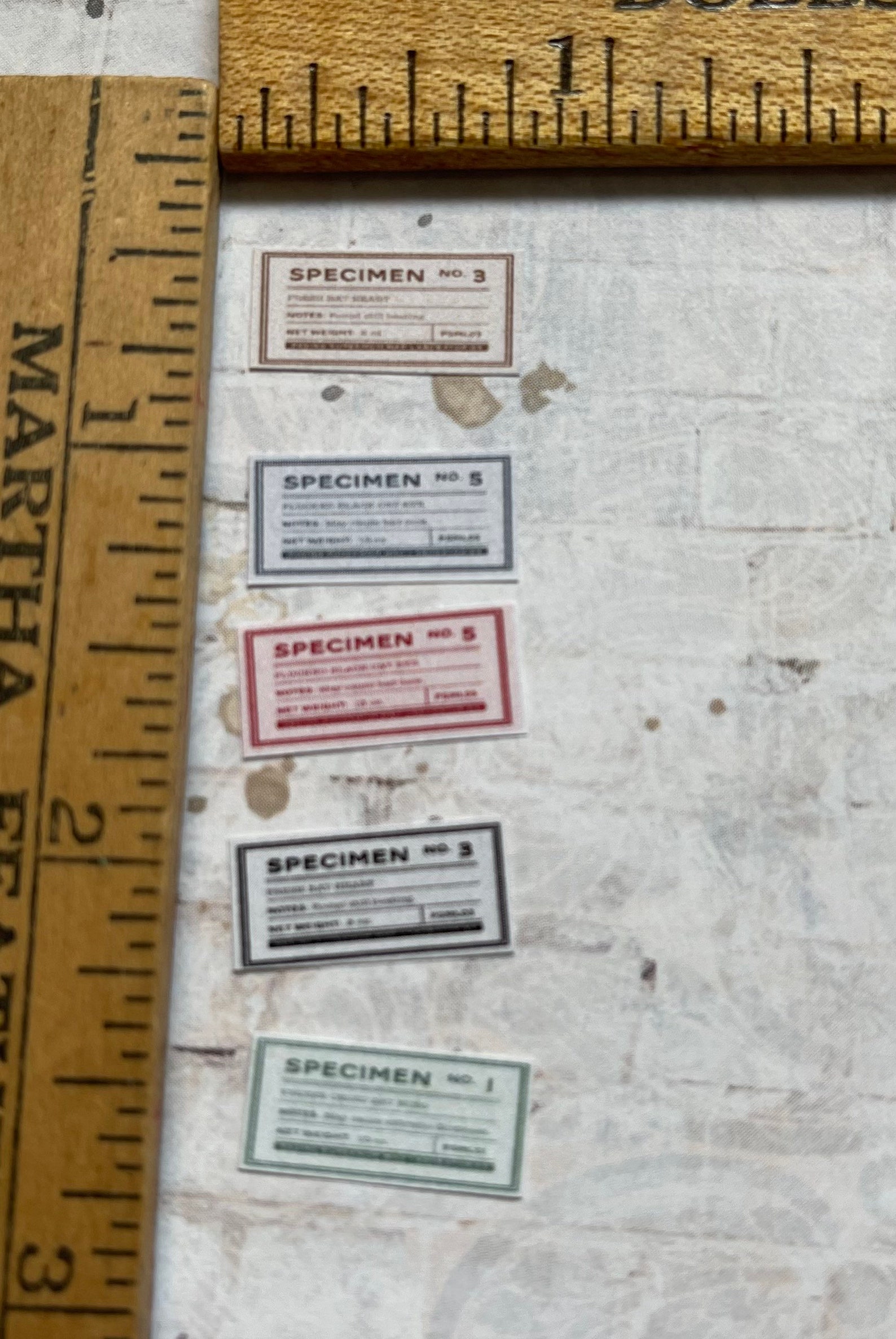 5 Pc Specimen Labels for Bottles or Display Boxes or Museums - Etsy