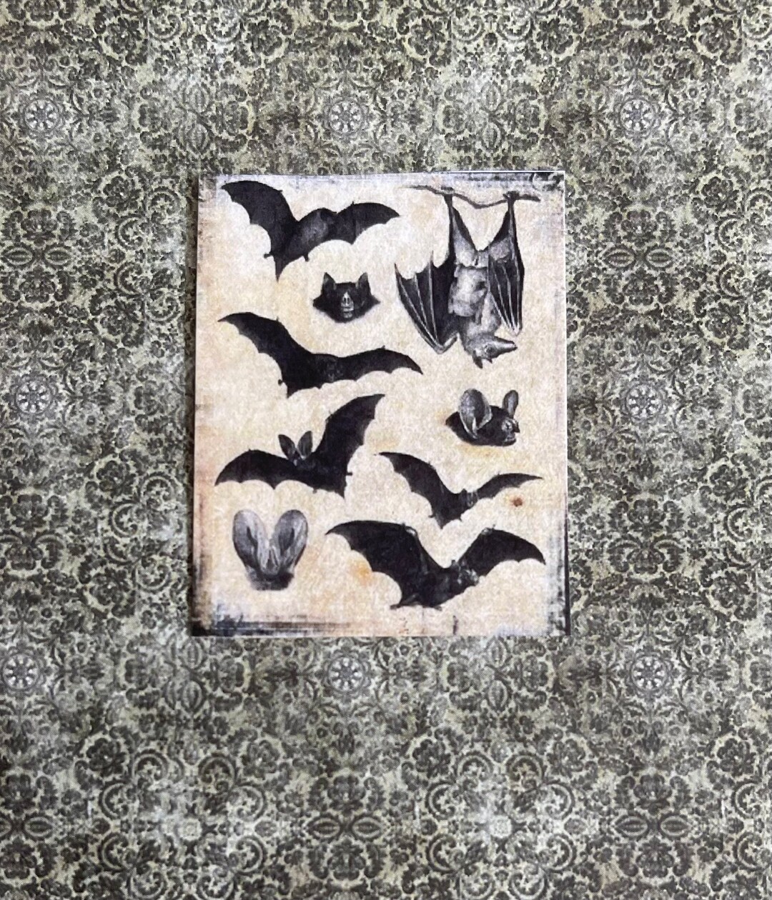 Bat Poster This is Not Life Size. - Etsy