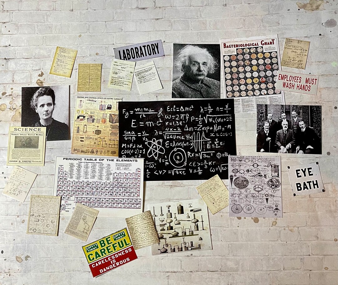 24 Pc Lab / Science Desk & Wall Clutter - Einstein / Madame Curie ...