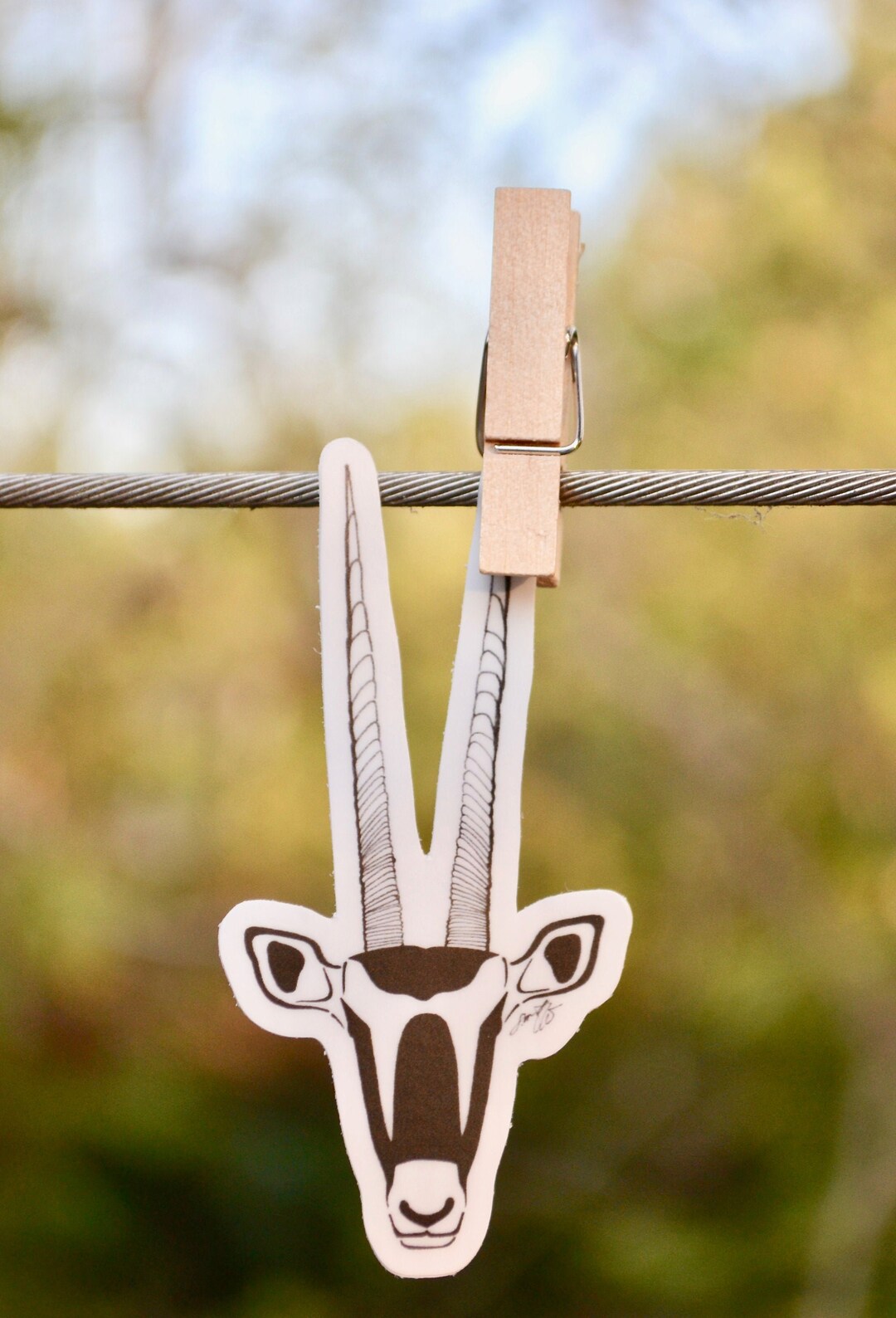 Oryx Gazella (gemsbok) - Sticker - Etsy