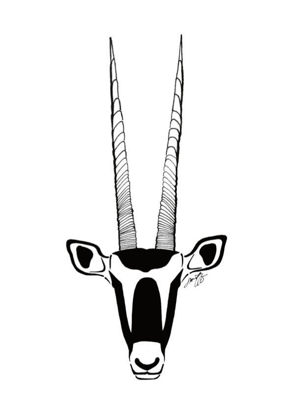 Oryx Head Drawing