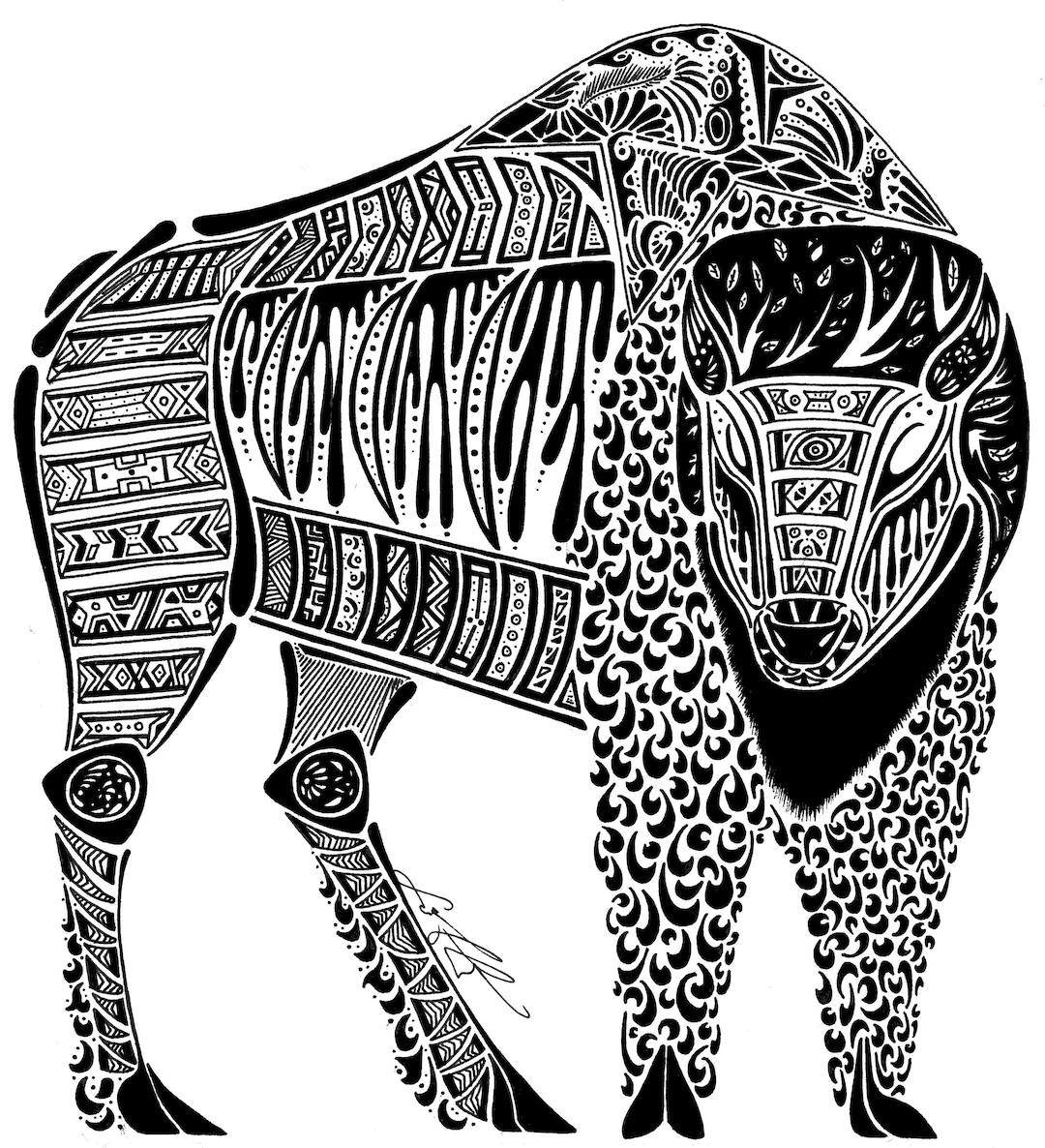 Bison Bison american Bison Print - Etsy