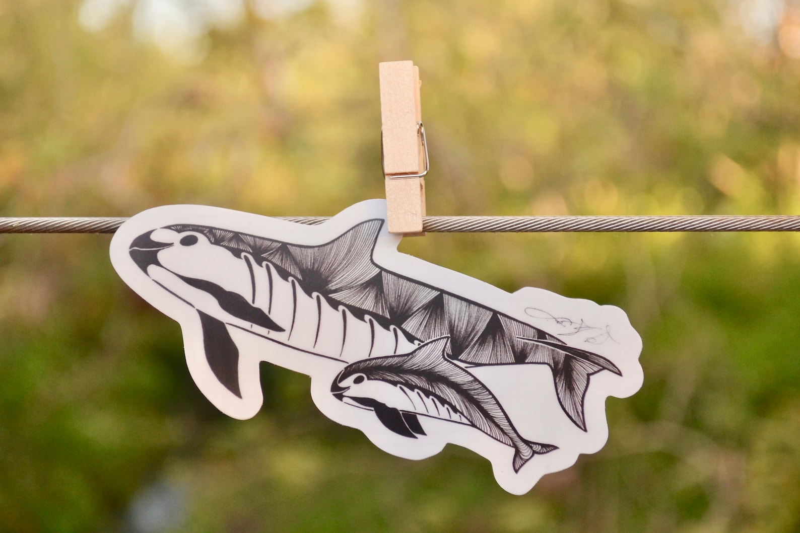 Phocoena Sinus vaquita Sticker - Etsy