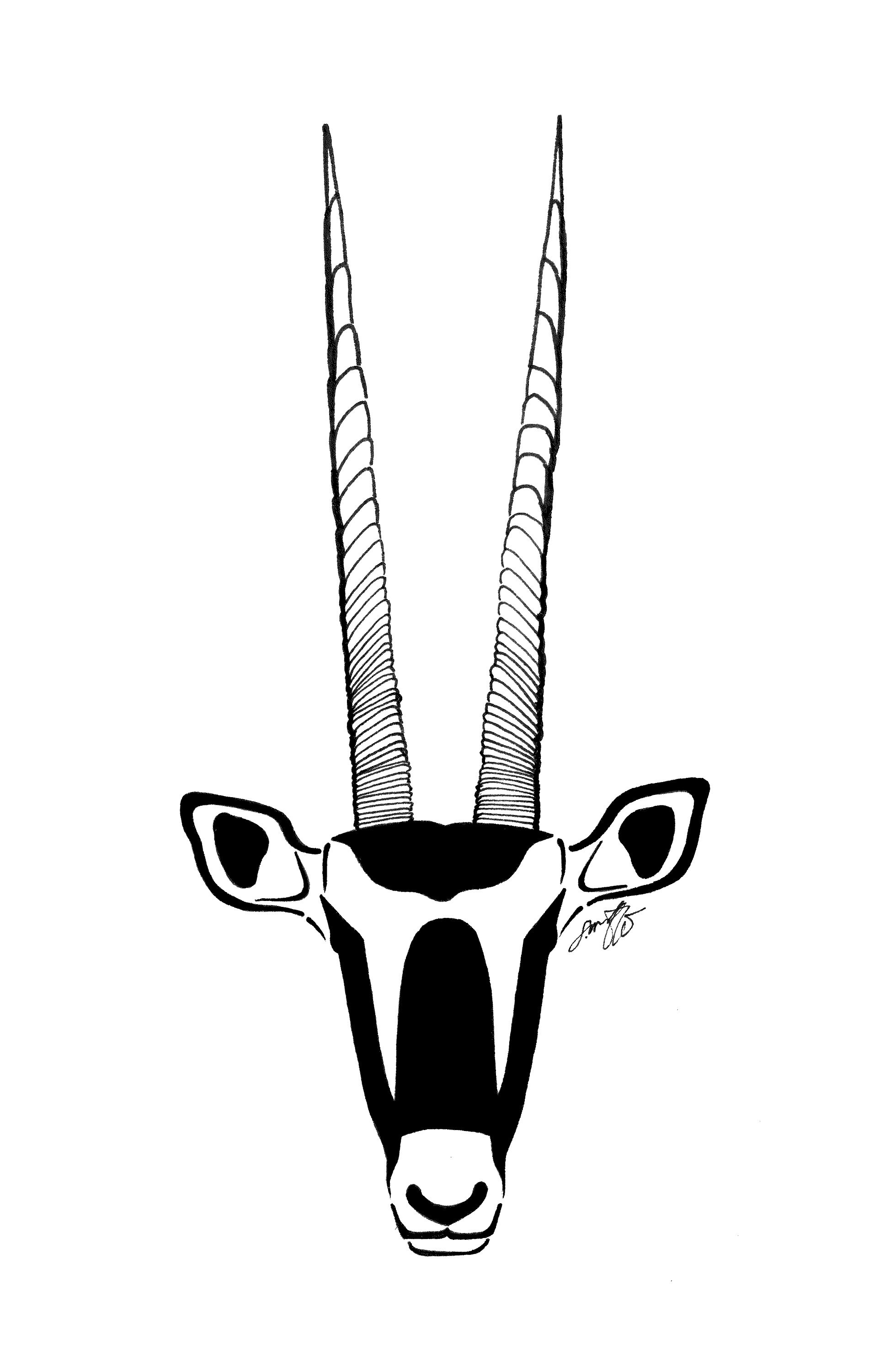 Oryx Gazella gemsbok Sticker - Etsy