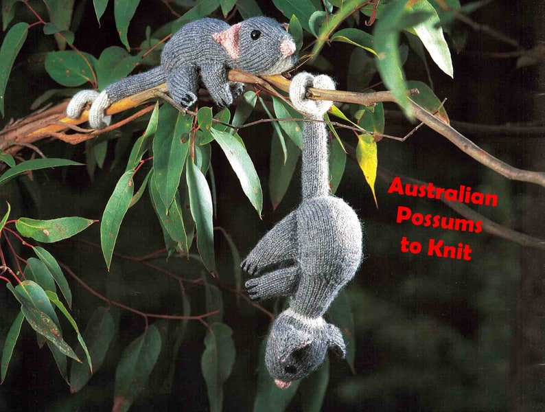 Australian POSSUMS Animal Knitting Pattern Wildlife Soft Toys - Etsy Canada