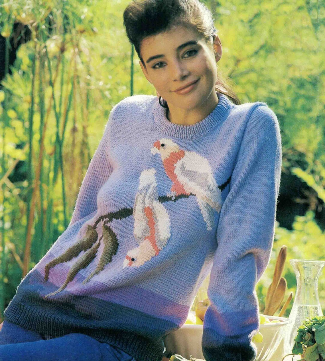 Parrots Sweater Knitting Pattern DK 8 Ply Australian Galah Bird Motif ...