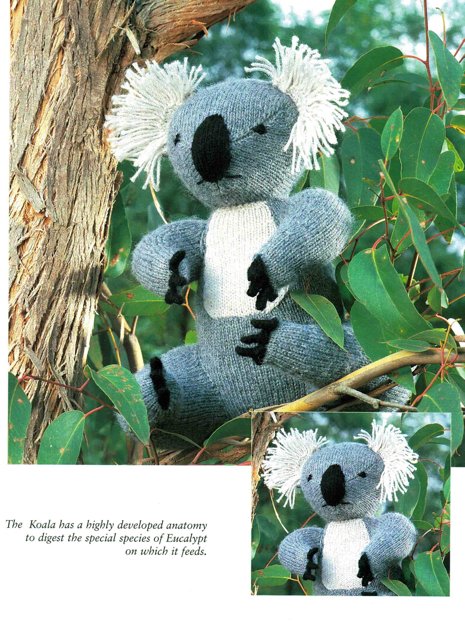 Australian Animals to Knit POSSUM & KOALA Knitting Pattern 8 - Etsy
