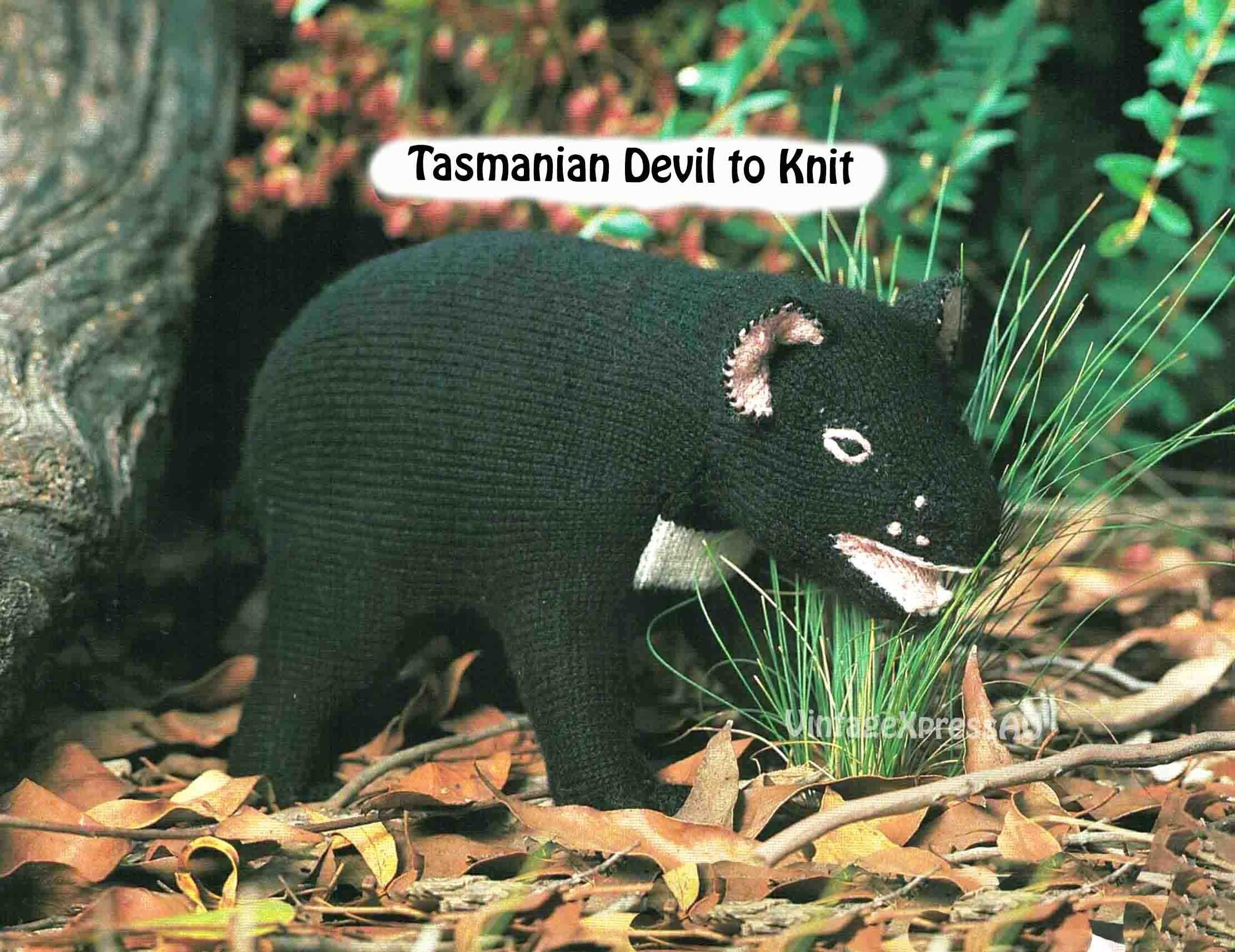 Tasmanian Devil Animal Knitting Pattern Australian Wildlife 8 Ply ...