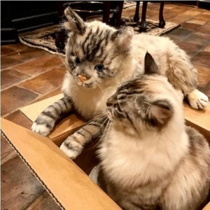 Handmade Stuffed Animal Memorial Custom Stuffed Animal Custom Pet Plush ...