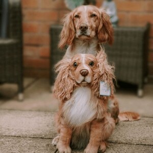 Handmade Stuffed Animal Memorial Custom Stuffed Animal Custom Pet Plush ...