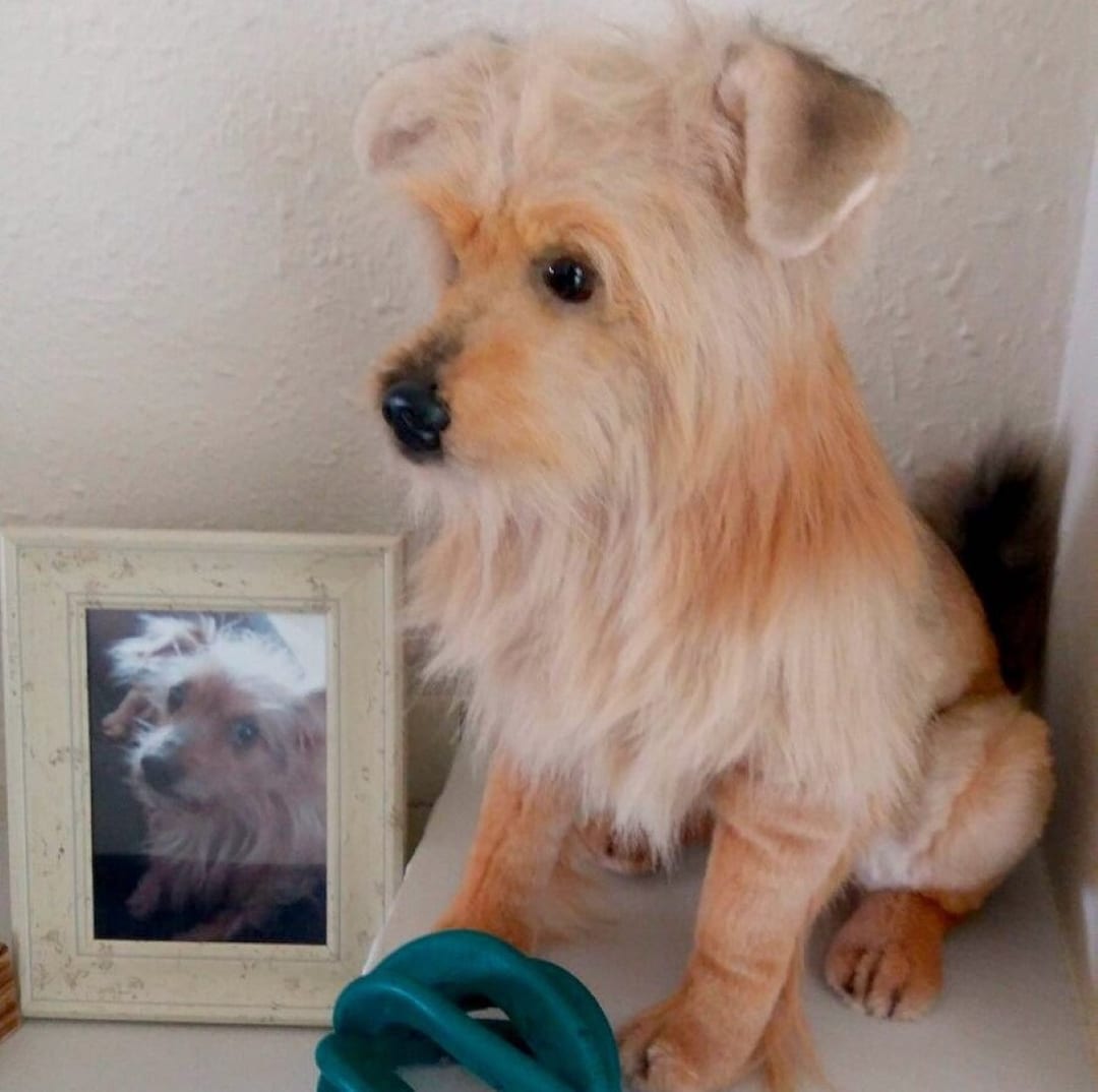 Handmade Stuffed Animal Memorial Custom Stuffed Animal Custom Pet Plush ...