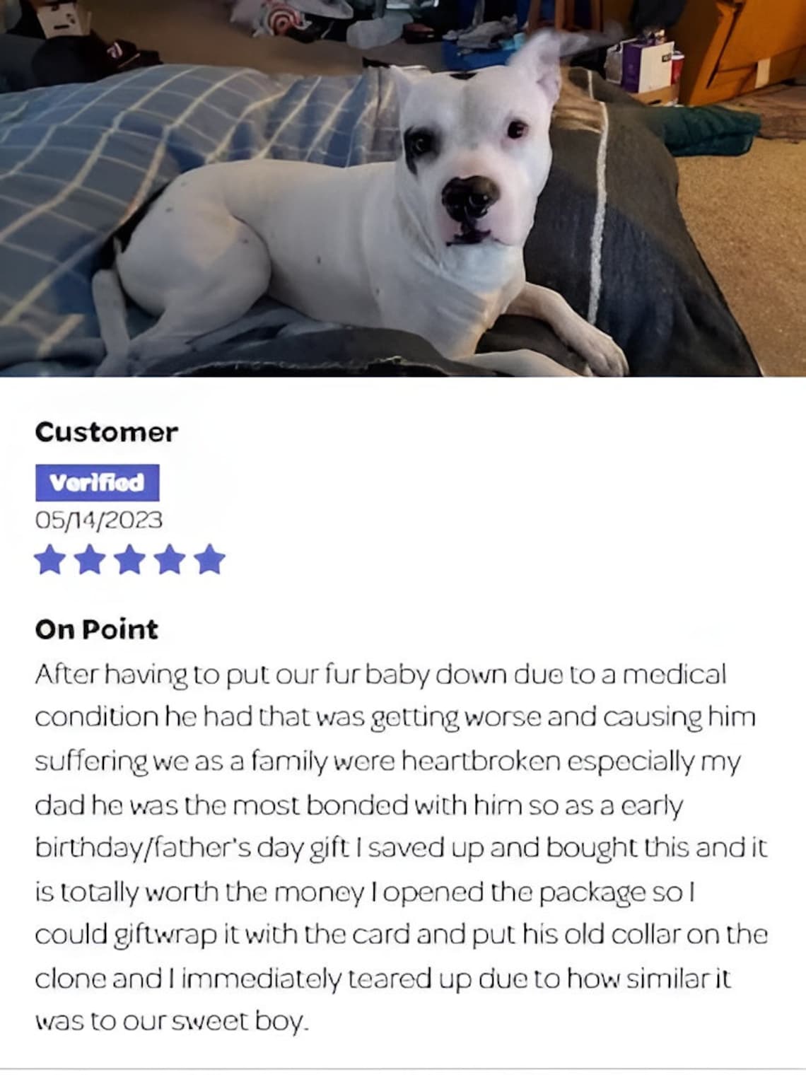 Handmade Stuffed Animal Memorial Custom Stuffed Animal - Etsy