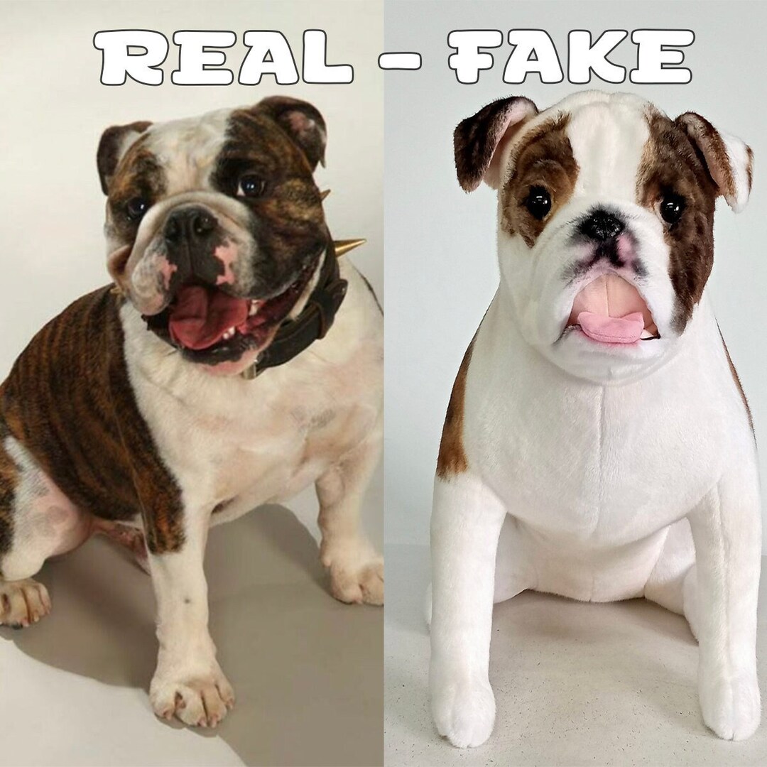 Custom Dog Stuffed Animal, Custom Dog Plush, Custom Stuffed Dog, Custom ...