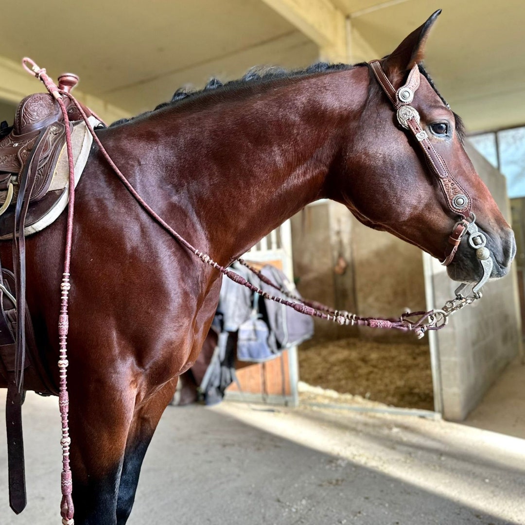 Hand Braided High-quality Romal Reins, 20 Plaits Romal Reins, Romal ...