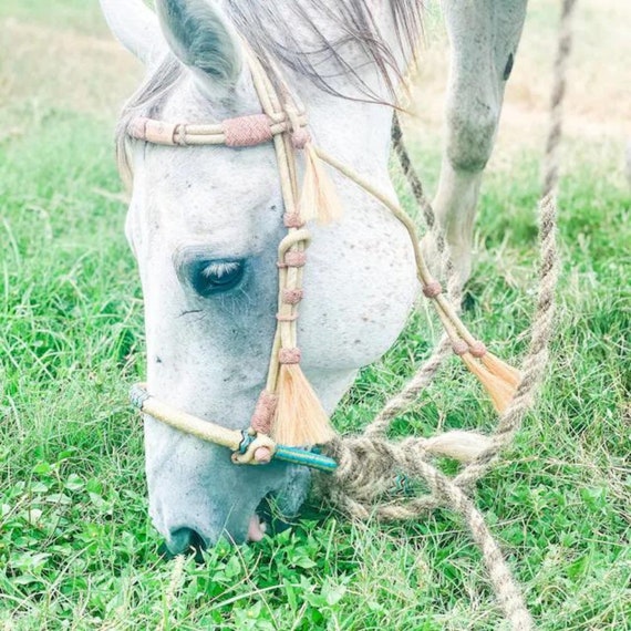 Hand-crafted Natural Rawhide and Brown Knotted 16 Plaits - Etsy