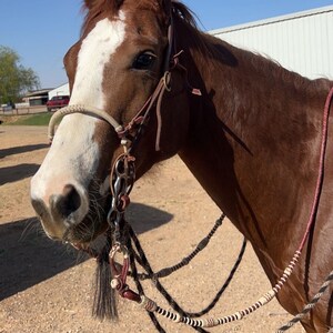 20 Plaits Romal Reins California Style, Romal Reins Chestnut Cherry ...