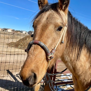 Handmade Bosal Set, 40 Plaits Rawhide Natural & Black Bosal Set, Bosal ...
