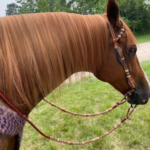 20 Plaits Romal Reins California Style, Romal Reins Chestnut Cherry ...