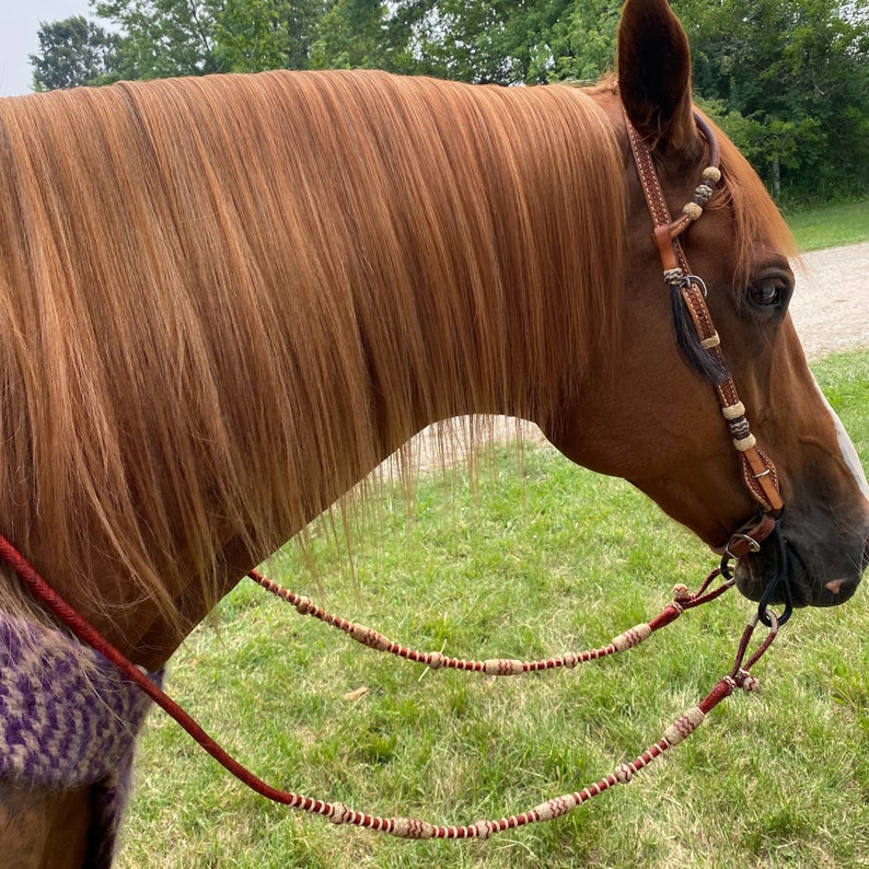 Buy Handmade Rawhide Romal Reins, Chestnut Cherry Braided Reins (55 ...