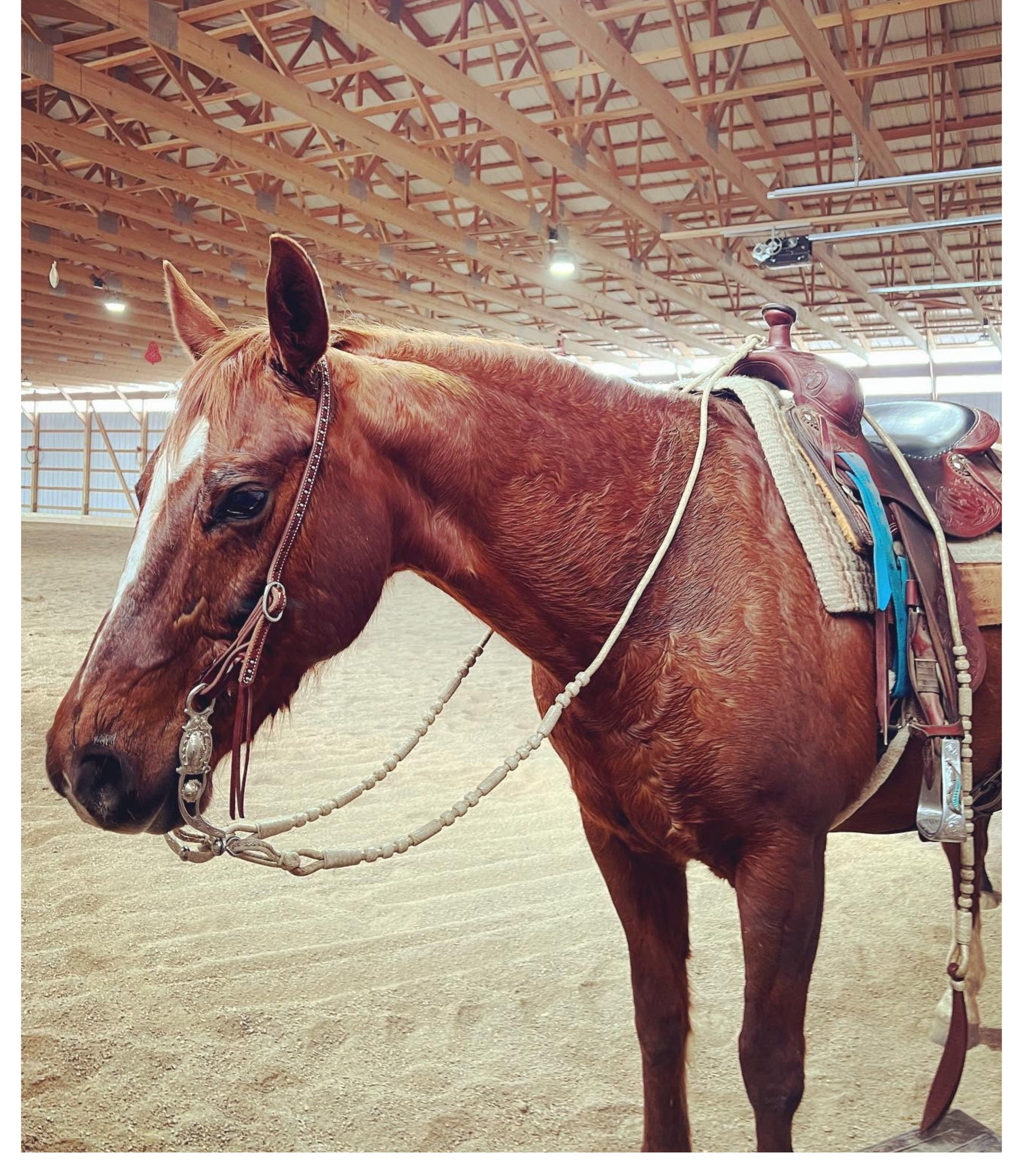 Romal Reins Natural Cow Rawhide Romel 20 Plaits Regular - Etsy