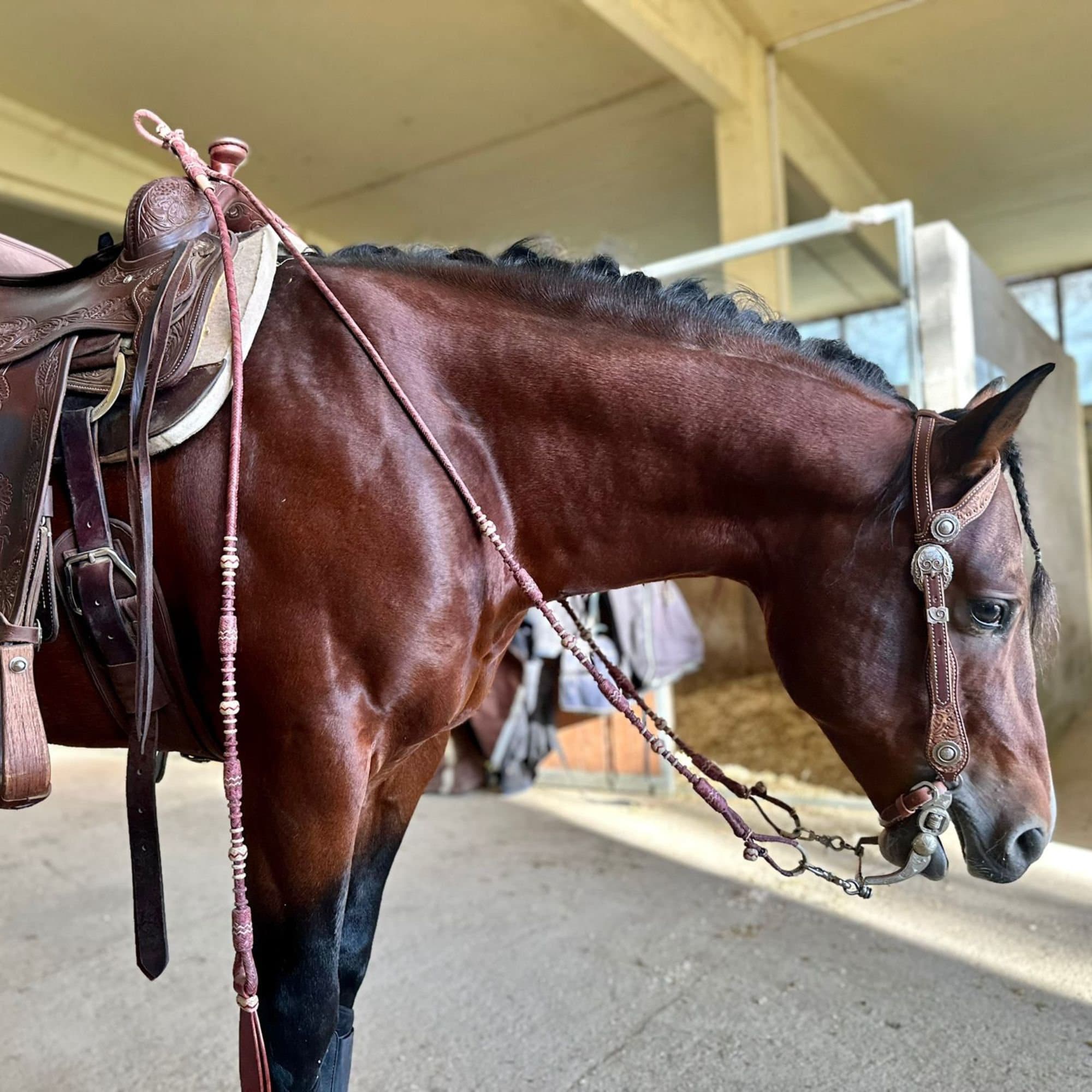Hand Braided High Quality Romal Reins 20 Plaits Romal Reins - Etsy