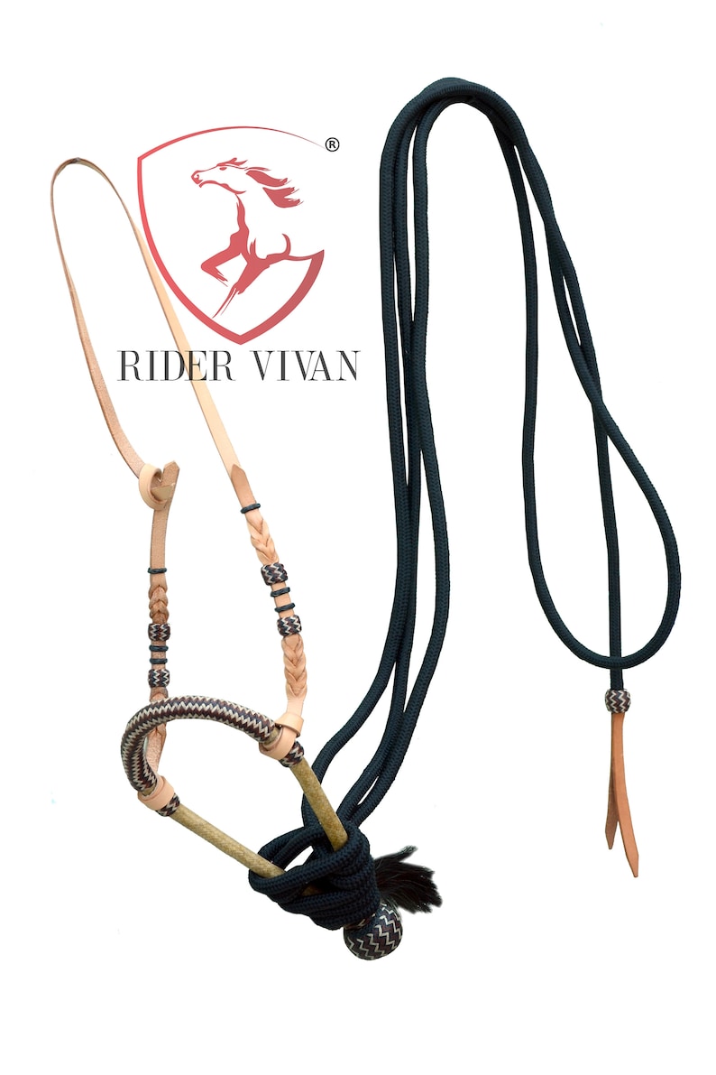 Handmade Bosal Set 40 Plaits Rawhide Natural Bosal Set Bosal - Etsy