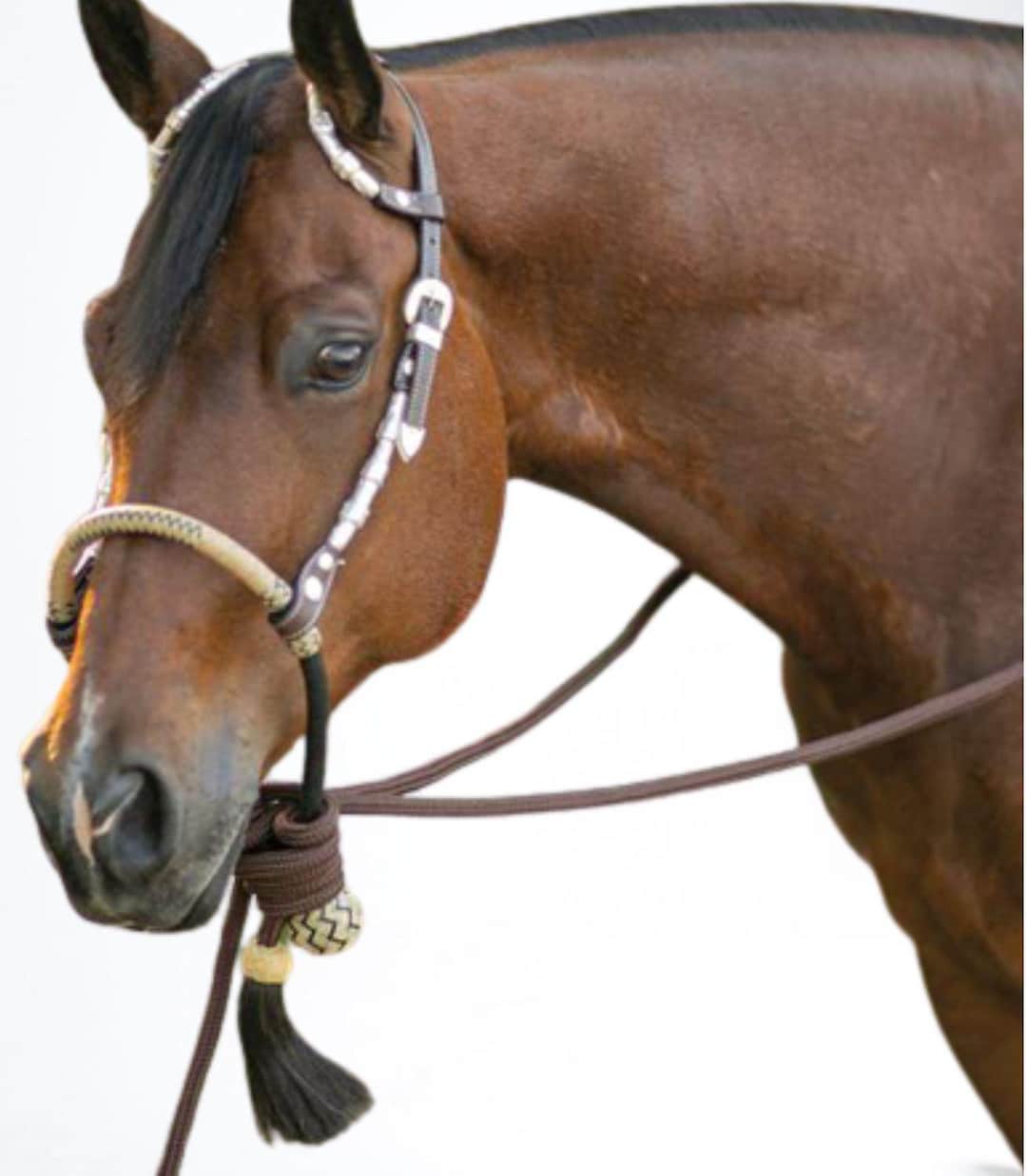 Horse Bosal Dark Chocolate Brown/natural Rawhide, 40 Plaits Bosal, 5/8 ...