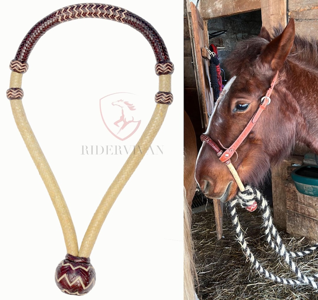 Western Horse Bosal, Natural & Cherry Rawhide Hackmore, 24 Plaits ...