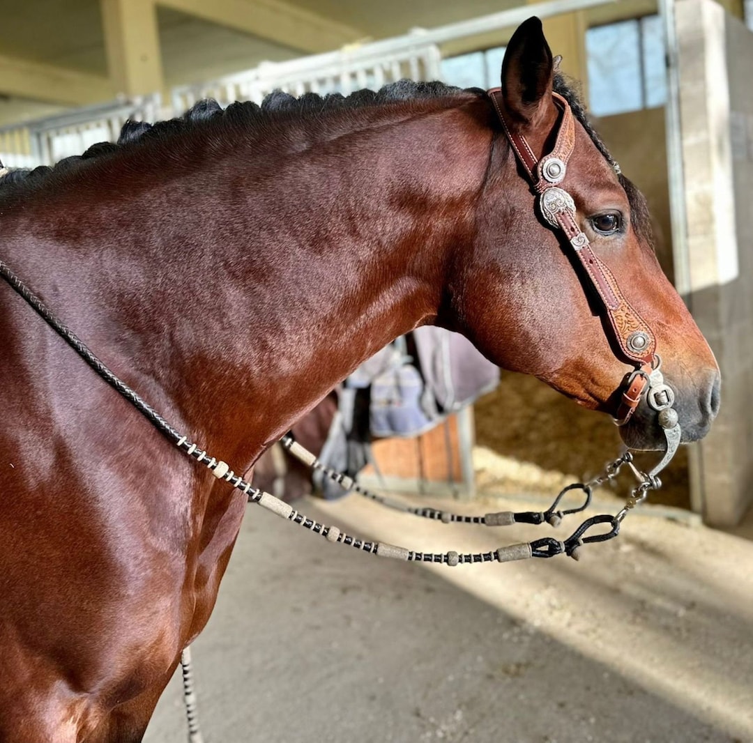 Hand-braided Romal Reins, Romal Reins California Style, Romal Reins 10 ...