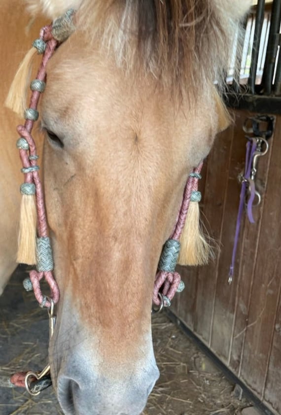 Janelle Wheeler's Instagram, Twitter & Facebook on IDCrawl